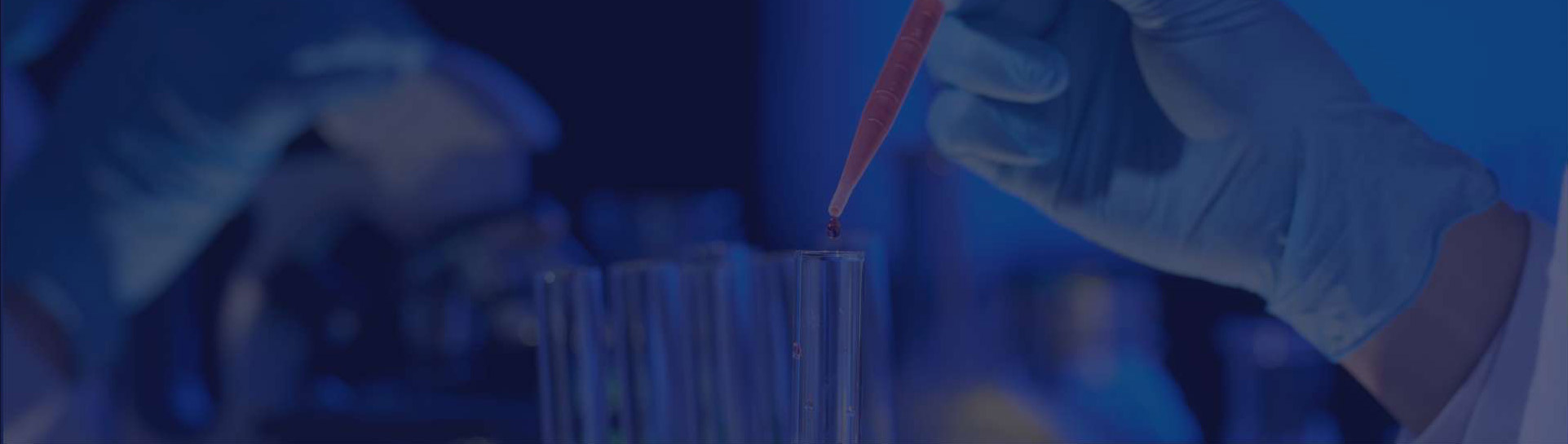 Fortune Emirates Participated in the UTECH Middle East Foam and ...